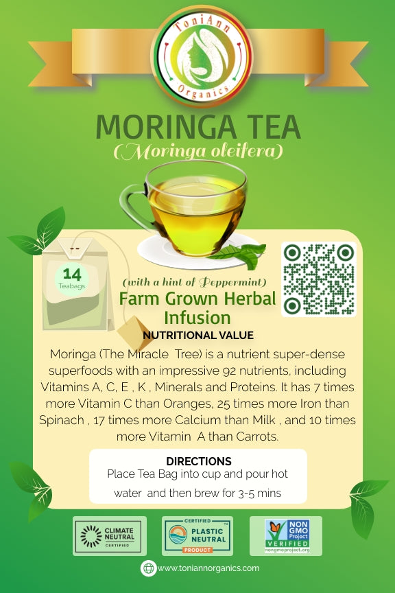 Moringa Tea with Mint | Superfood Nutrients for Wellness – ToniAnn Organics